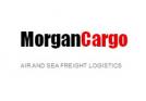 Morgan Cargo | Web-lingo